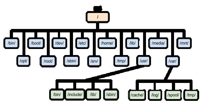 Linux File System Structure Filesystem Hierarchy Module 1 3