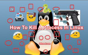 Managing process in Linux Part 2 - How To Kill A Process