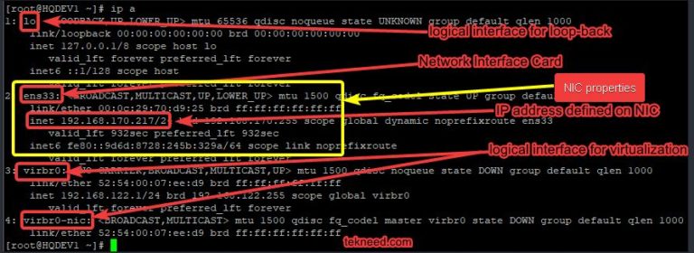 Network Management In Linux Explained With Examples