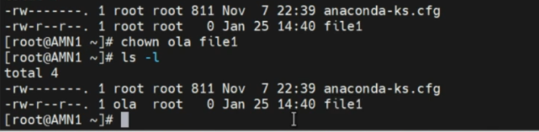 How to Change Ownership of a File in Linux: A Complete Guide