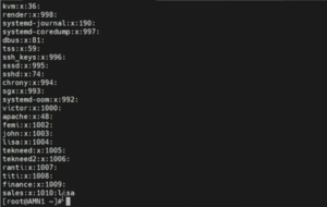 How to Create Groups in Linux - Adding users to groups 1