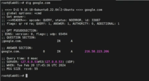 How to Configure DNS in Linux: A Step-by-Step Guide