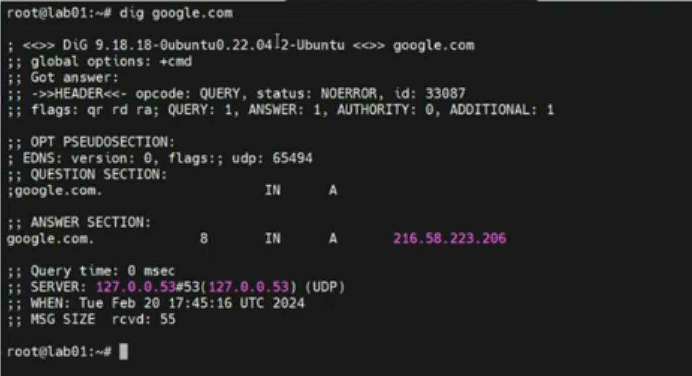How to Configure DNS in Linux: A Step-by-Step Guide