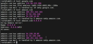 How to Configure DNS in Linux: A Step-by-Step Guide